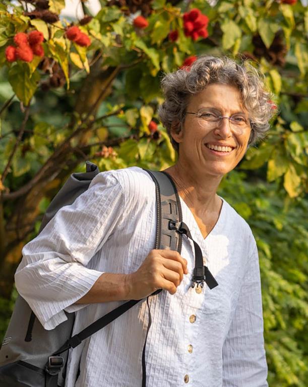 Online: Bonobos und ihre Bedeutung für uns Menschen – VHS Regensburger-Land